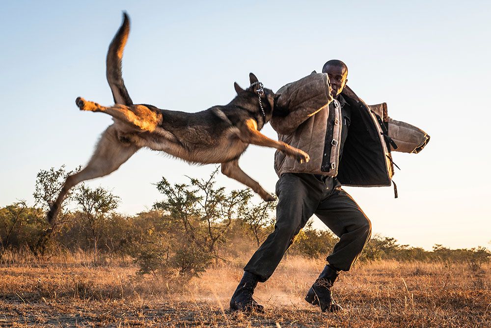 Game Rangers Association of Africa - Graa - Ranger Skills